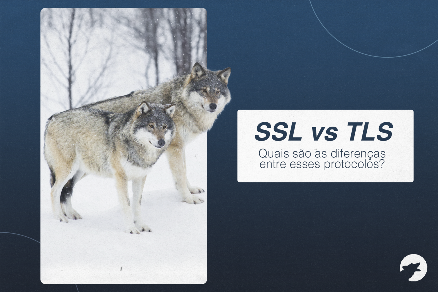 SSL vs TLS: Quais são as diferenças entre esses protocolos? – Trustcert