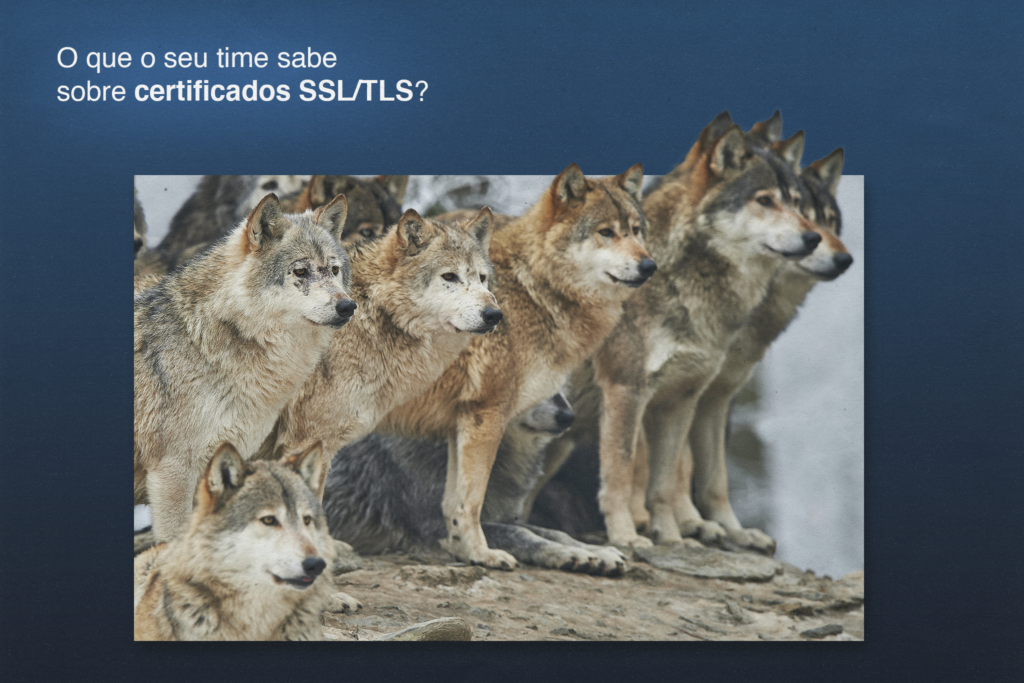 O que sua equipe sabe sobre certificados SSL/TLS? Saiba mais sobre a ...