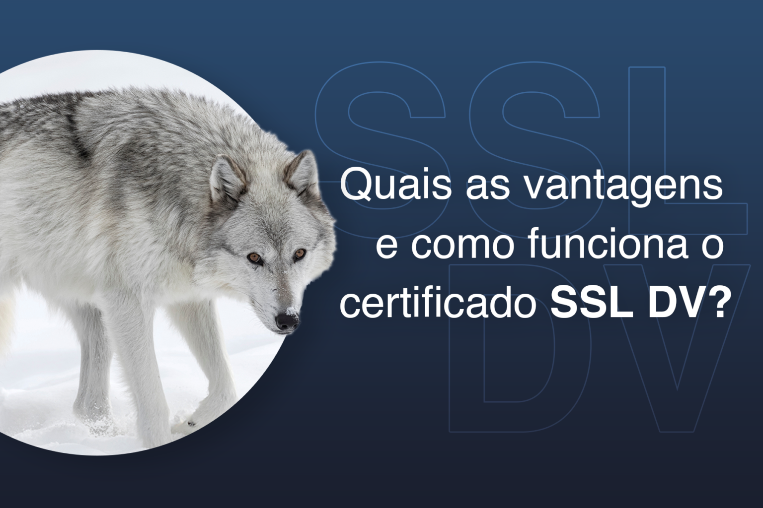 Quais as vantagens e como funciona o certificado SSL DV? – Trustcert